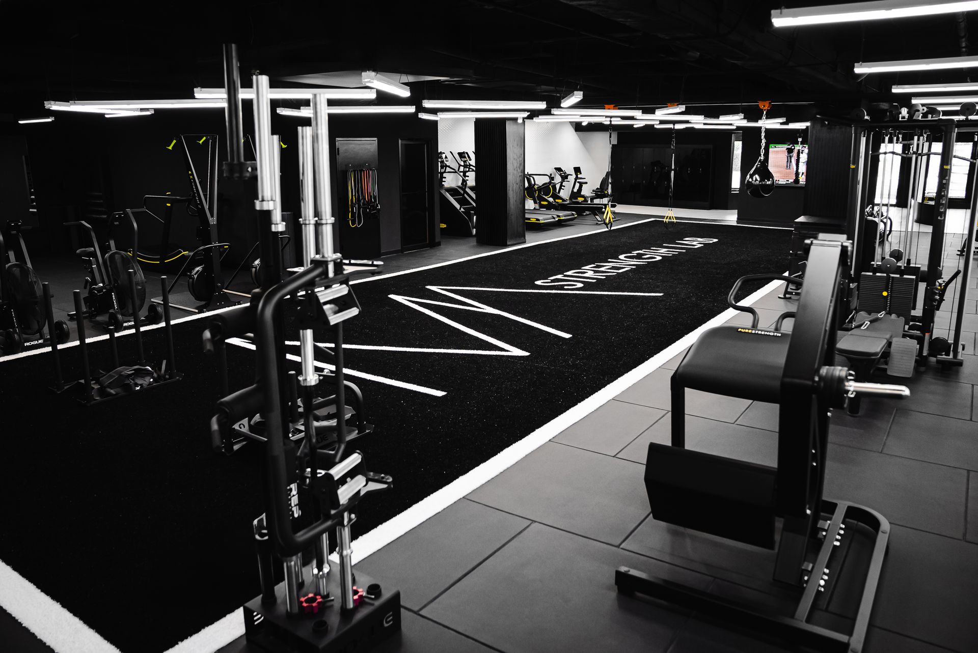 Madison Ave Strength Lab | Larchmont, NY