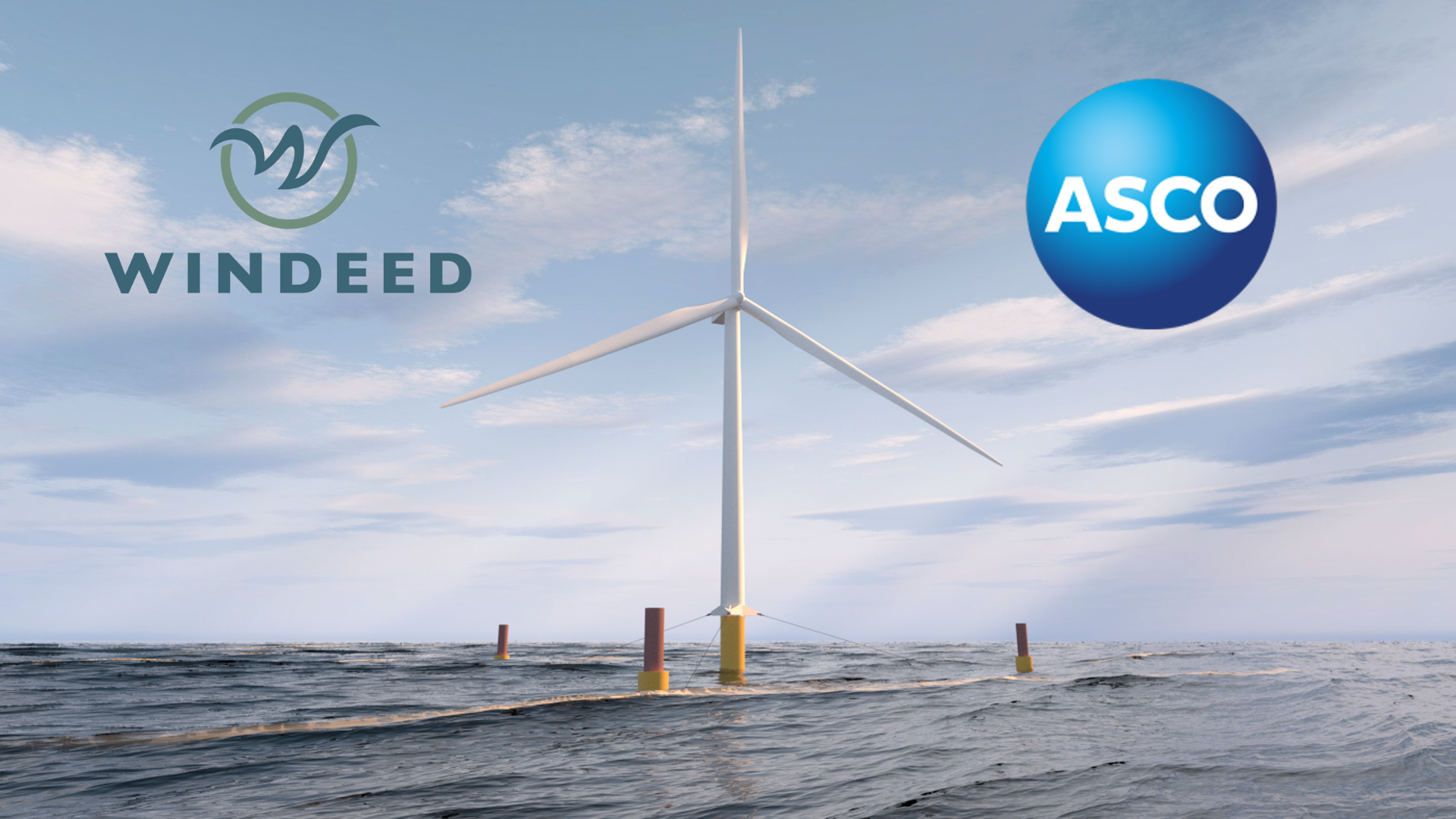 Windeed and ASCO Enter Strategic Partnership to Advance Floating Wind