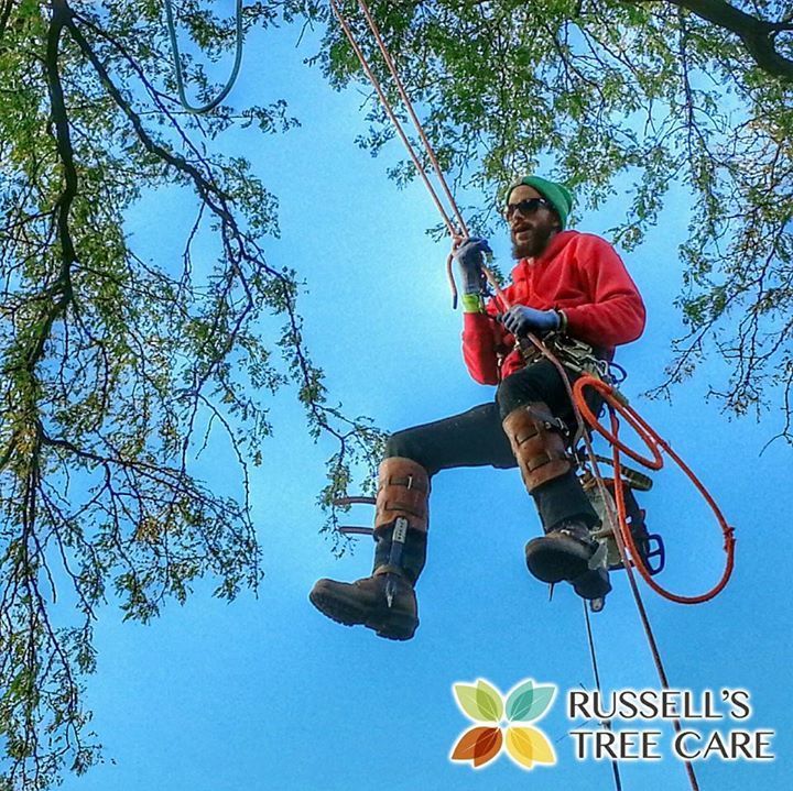 Tree Services | Russells Tree Care | Northwest Indiana