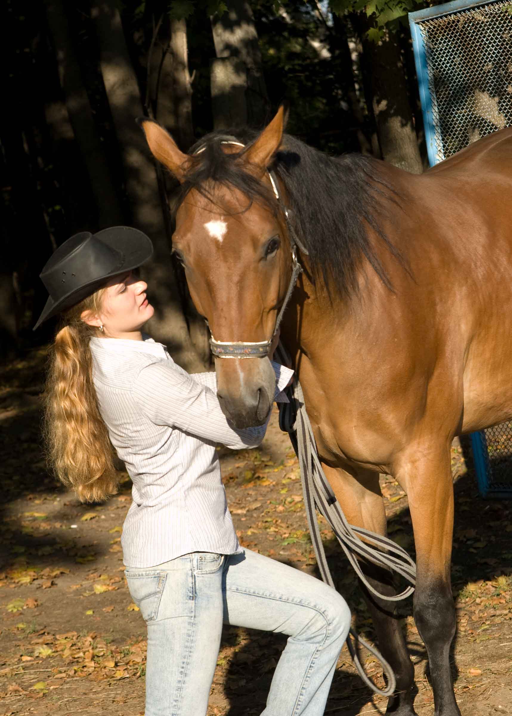 Horse Stable | West Salem, WI