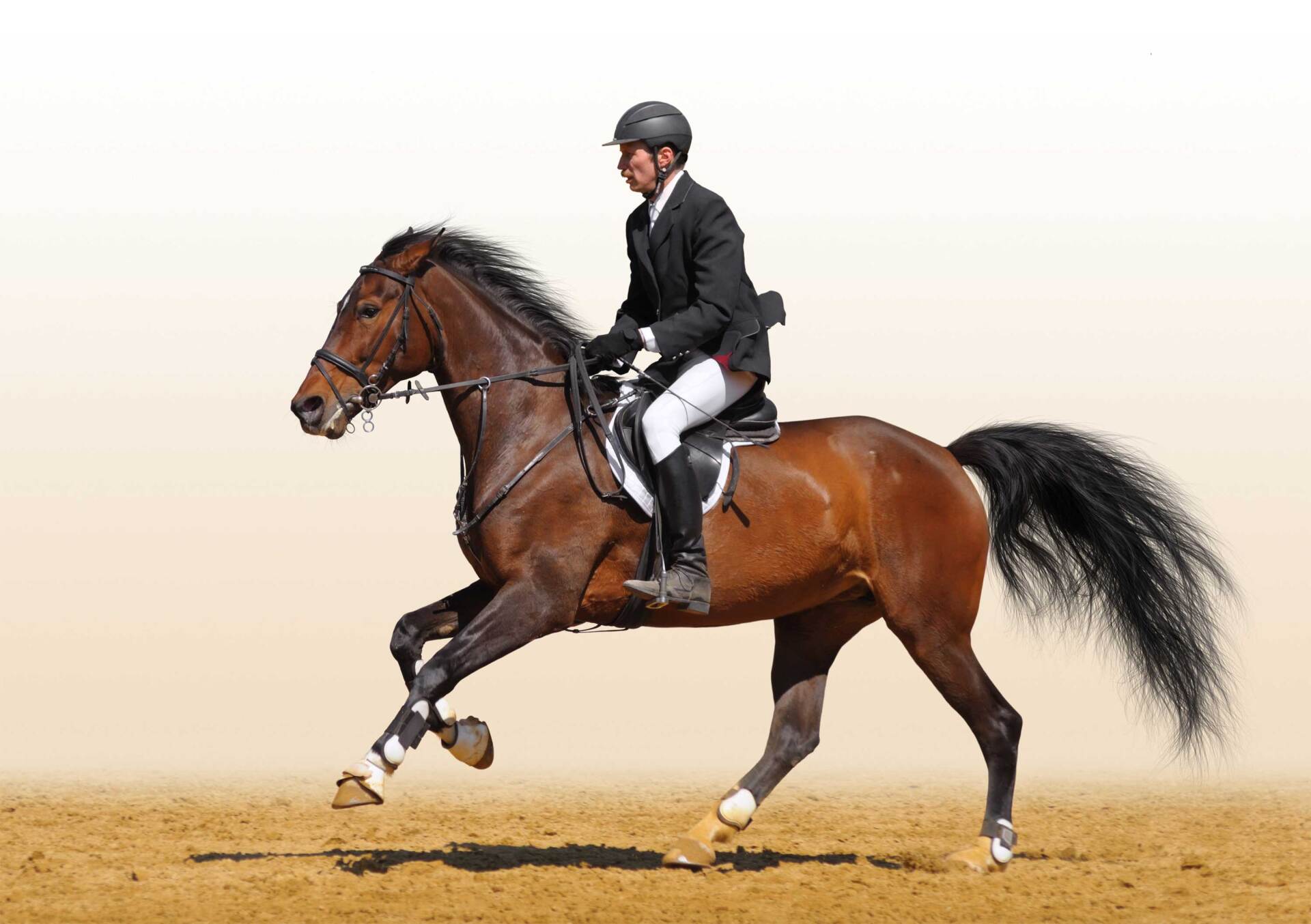 Horse Stable | West Salem, WI