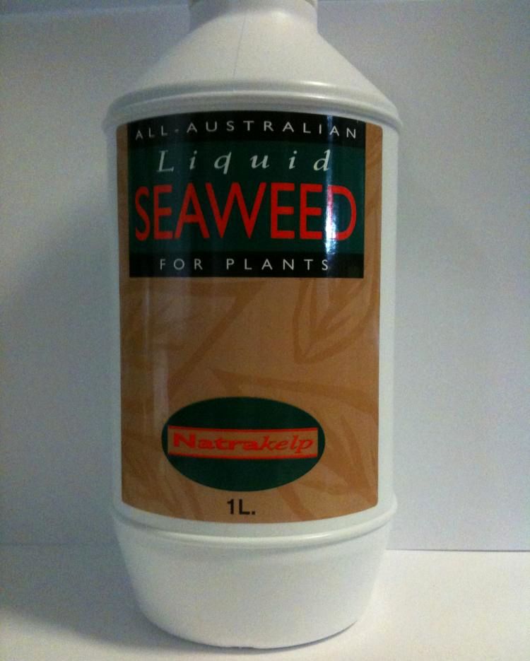 Liquid Seaweed for Plants - Natrakelp New Zealand