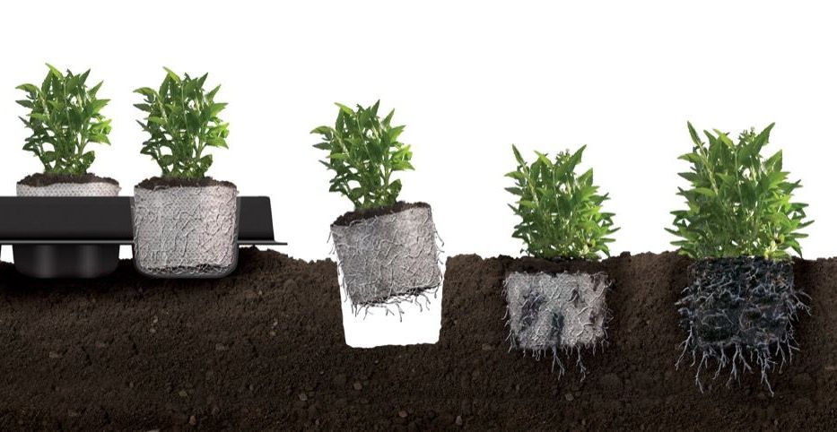 Growing Media | Tailored Plant Growth Solutions