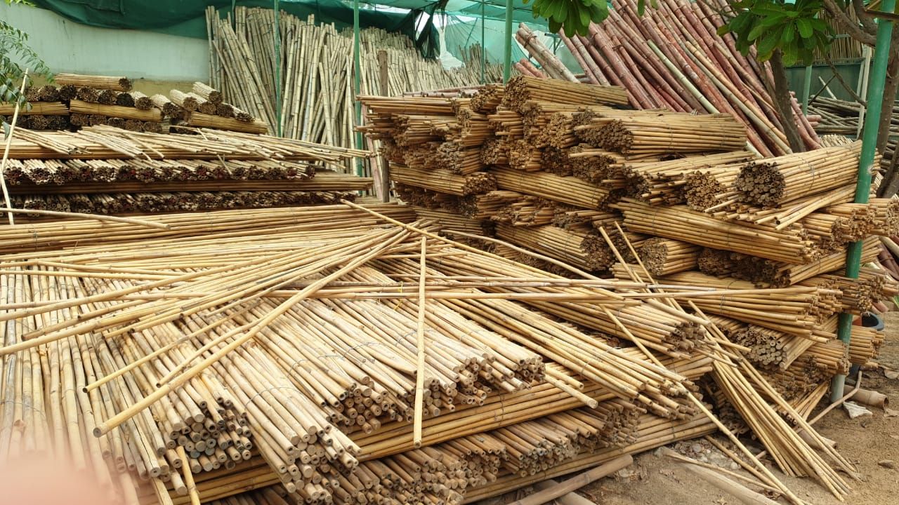 Bamboo Sticks: Versatile Supports for Agriculture
