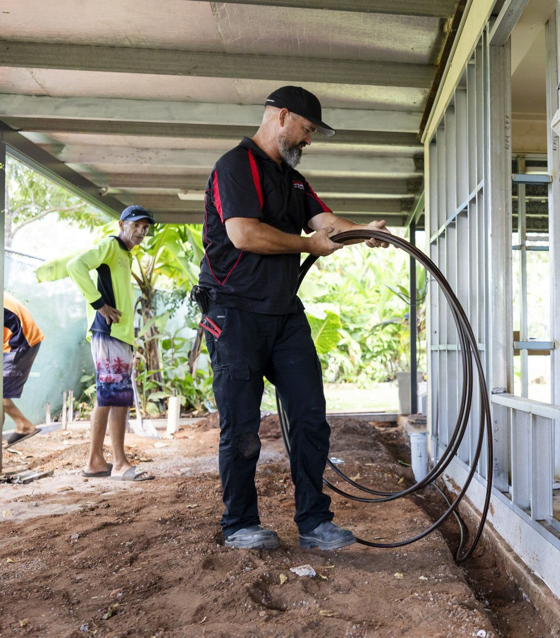 Termites in Darwin | Quack Pest Control