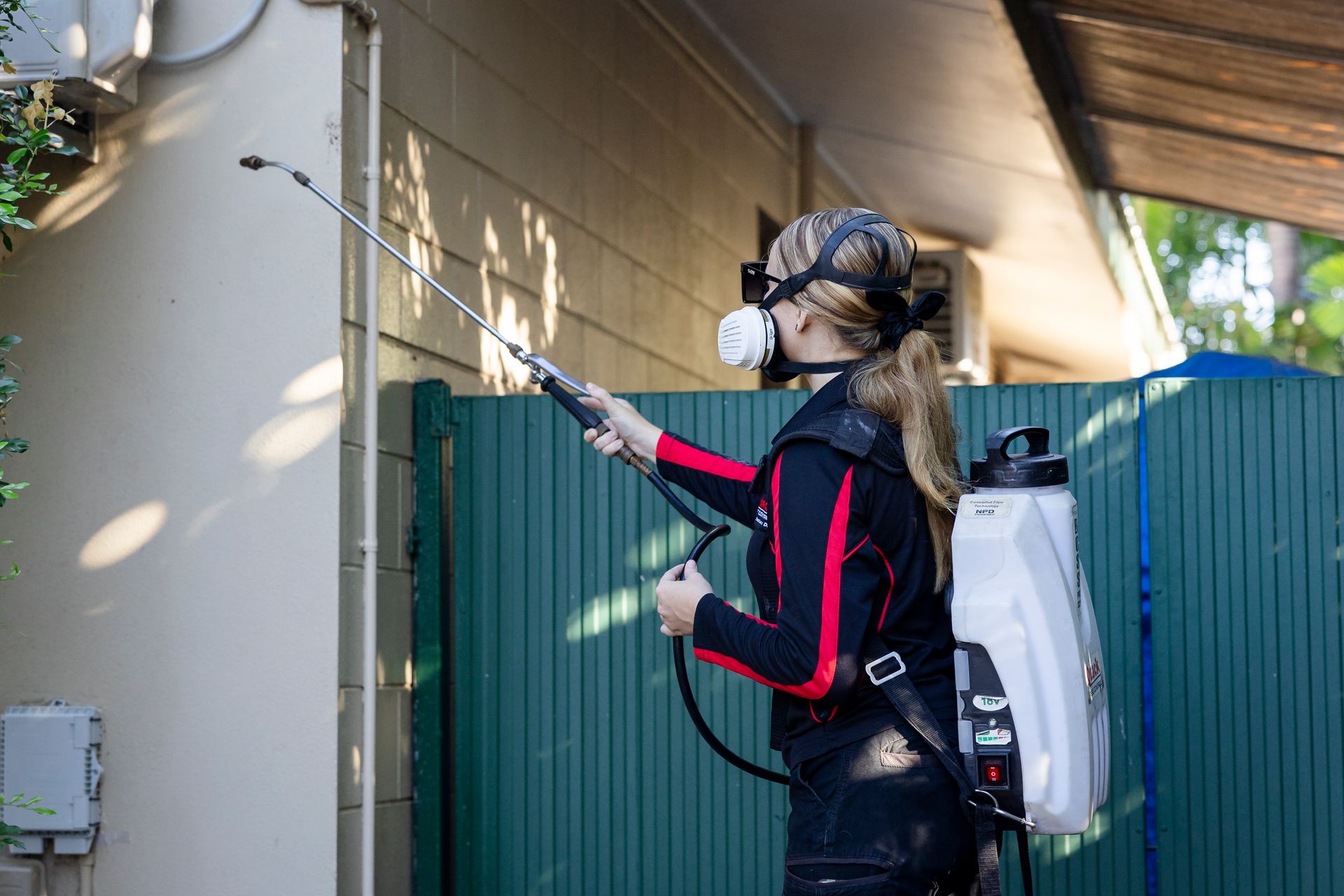 Pest Control in Darwin | Quack Pest Control