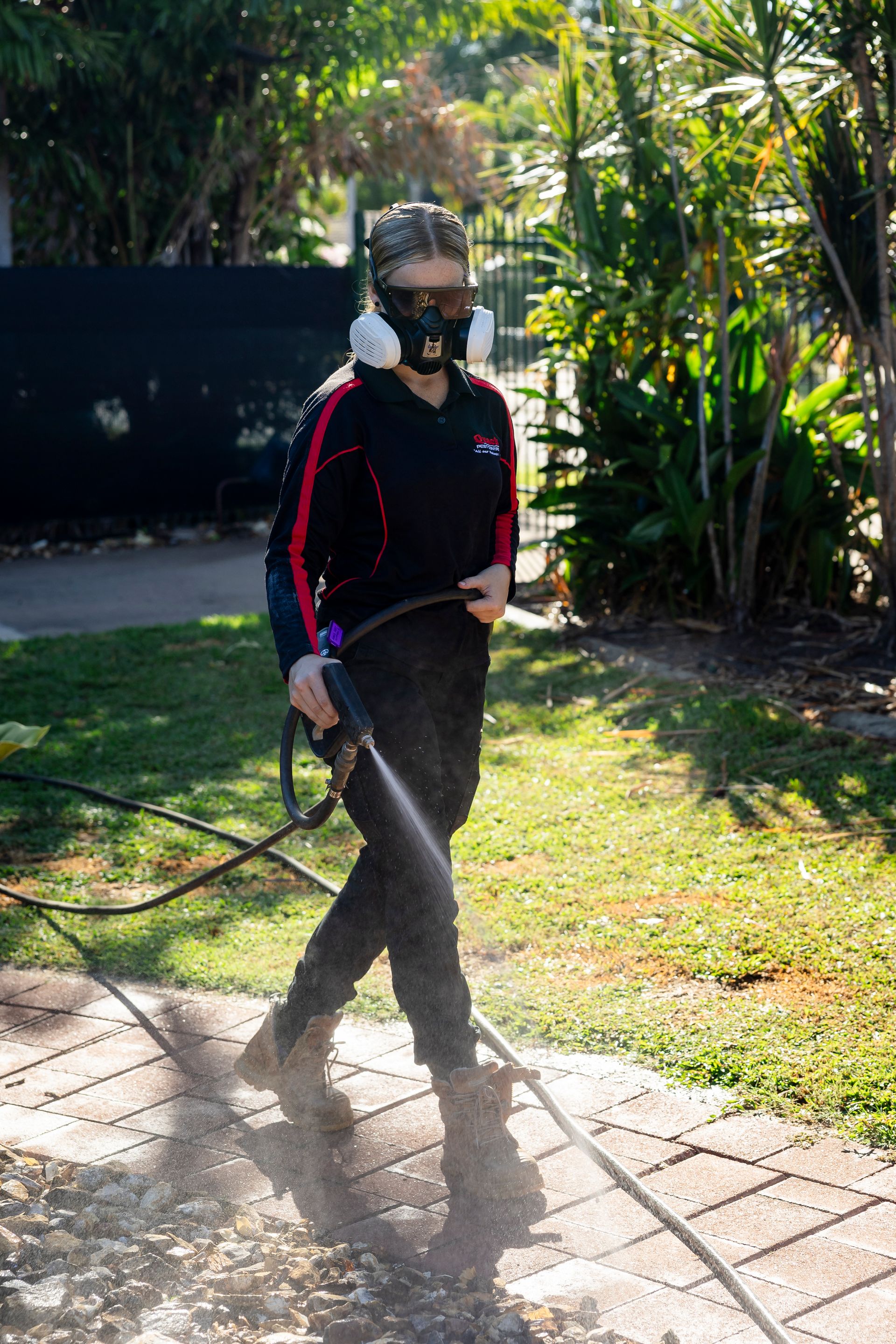 Ants in Darwin | Quack Pest Control