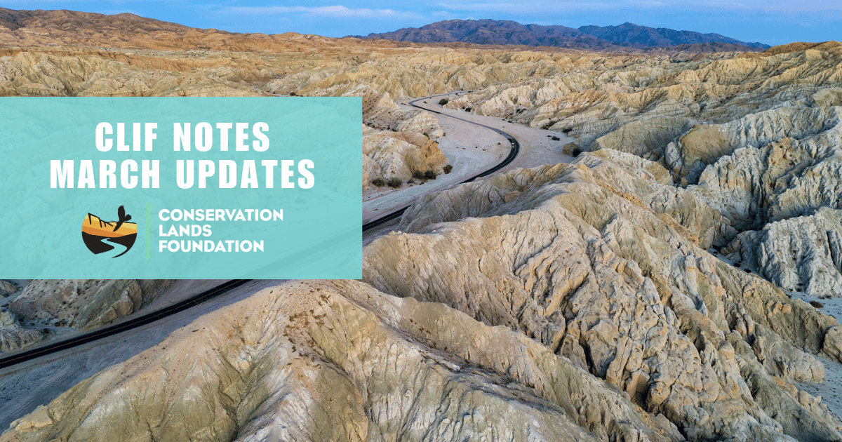 Protect Public Lands | Conservation Lands Foundation