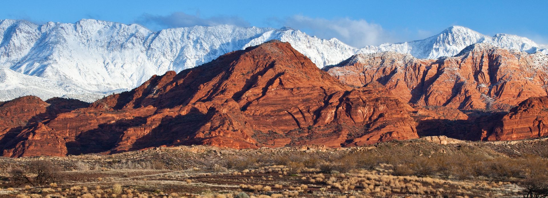 January CLiF Notes: Read the Latest on Your Public Lands and Take Action