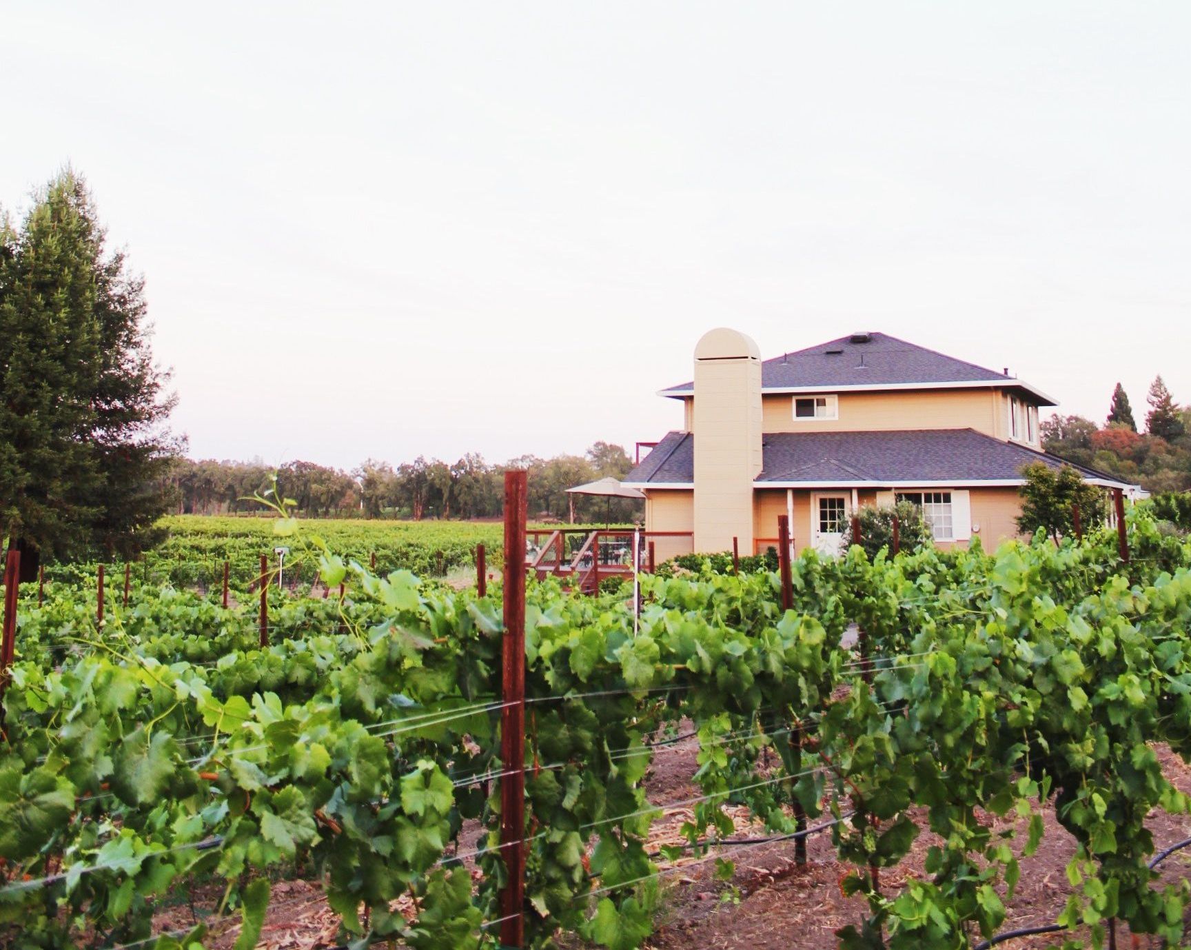 Dutton Estate Winery | Authentic Sonoma County Wines and Cider