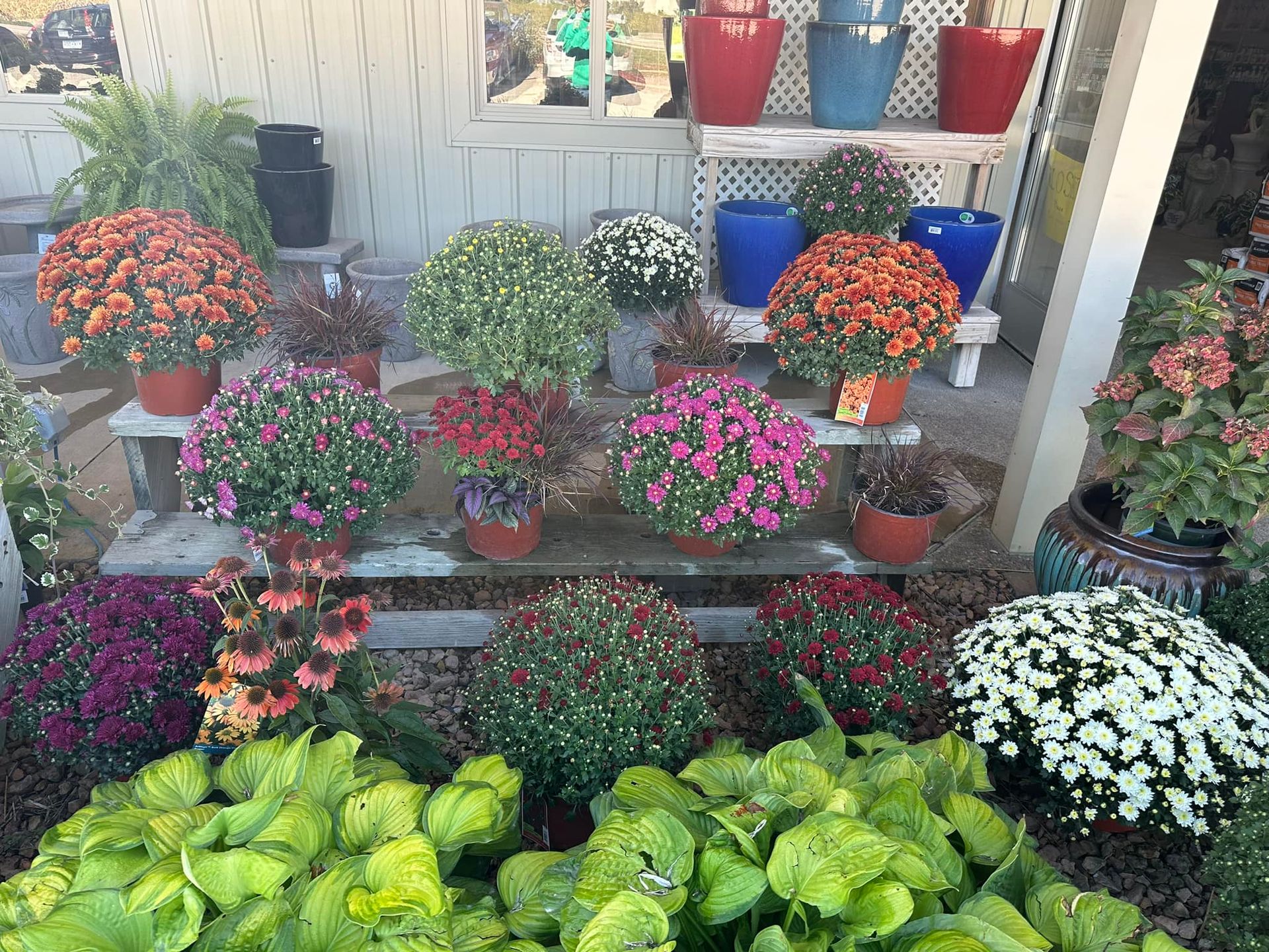 Landscape Design Gallery | Family Tree | Rochester & Dover, MN