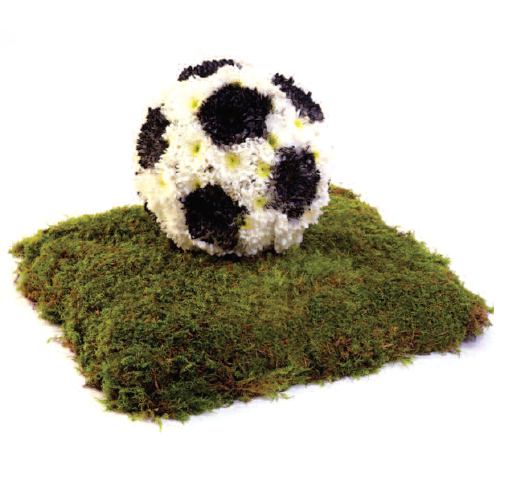 Funeral Arrangements | Barthram Funeral Service