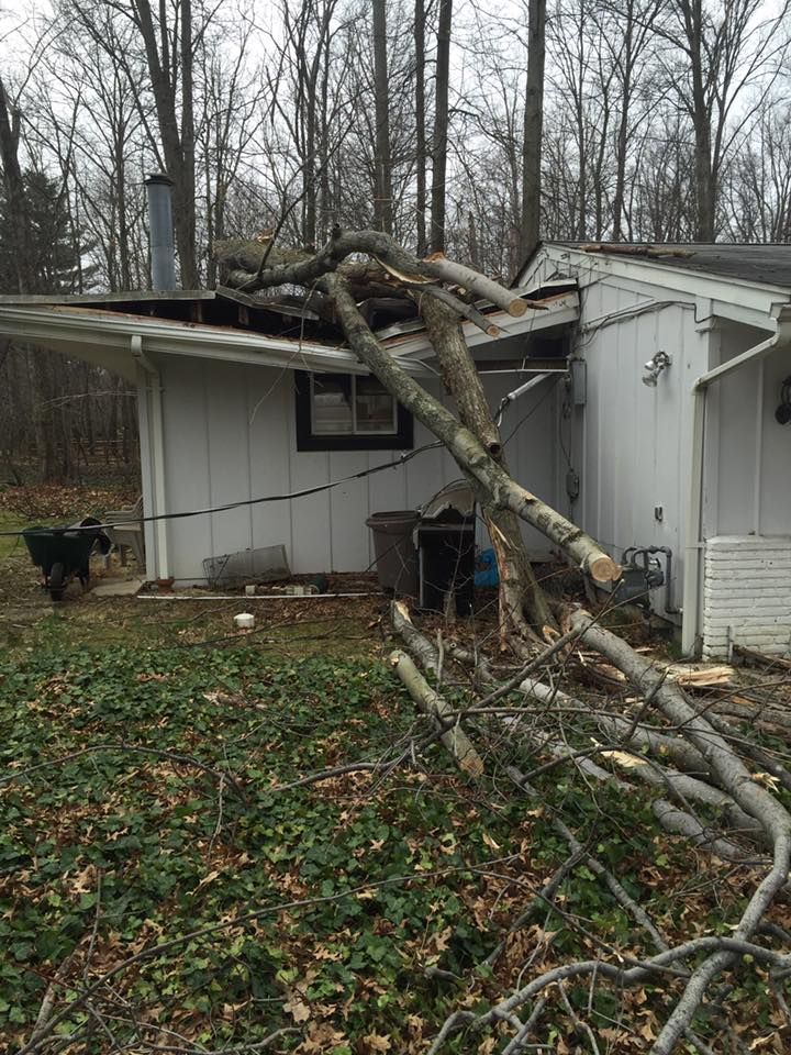 Tree Services | Broadview Heights, OH | Timberland Tree Svcs