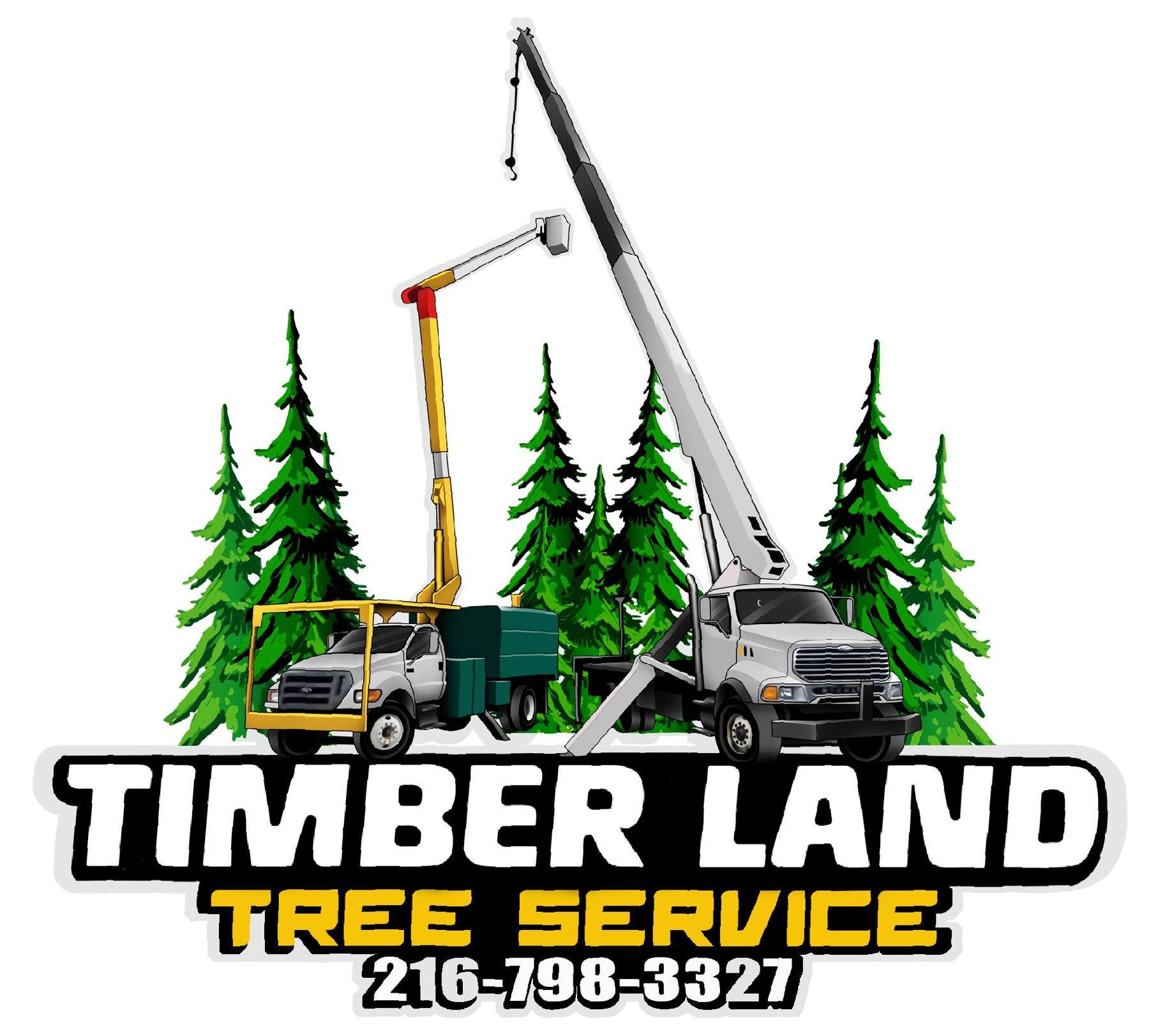 Tree Services | Broadview Heights, OH | Timberland Tree Svcs