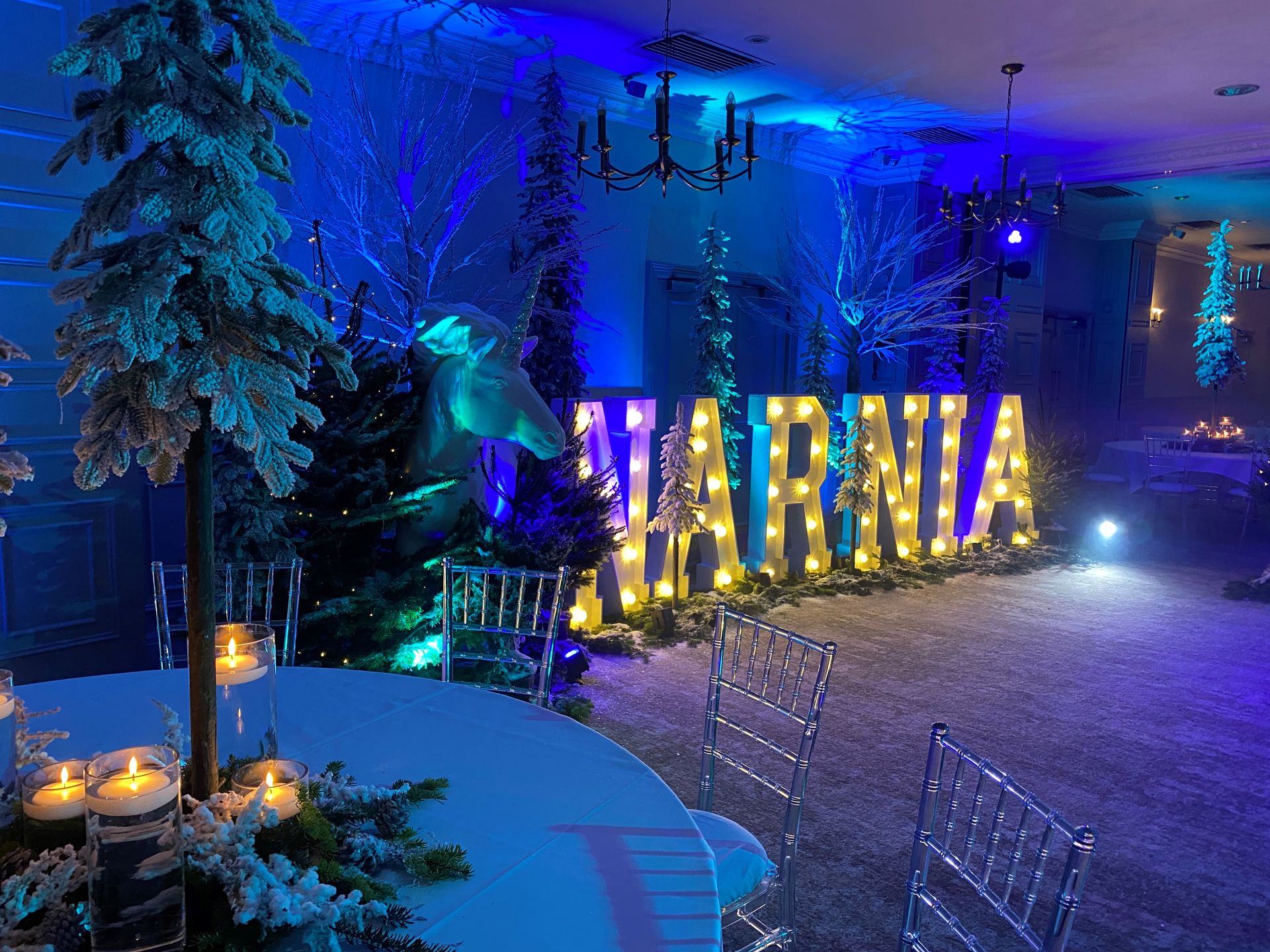 Narnia-themed Children's Party