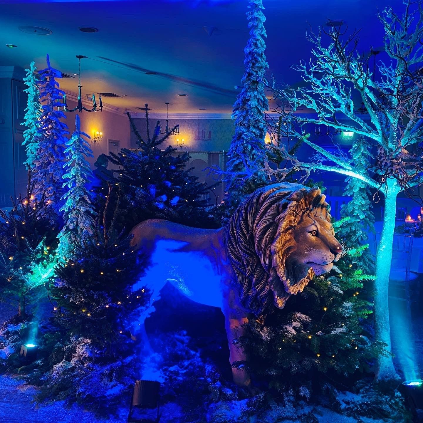 Narnia-themed Children's Party