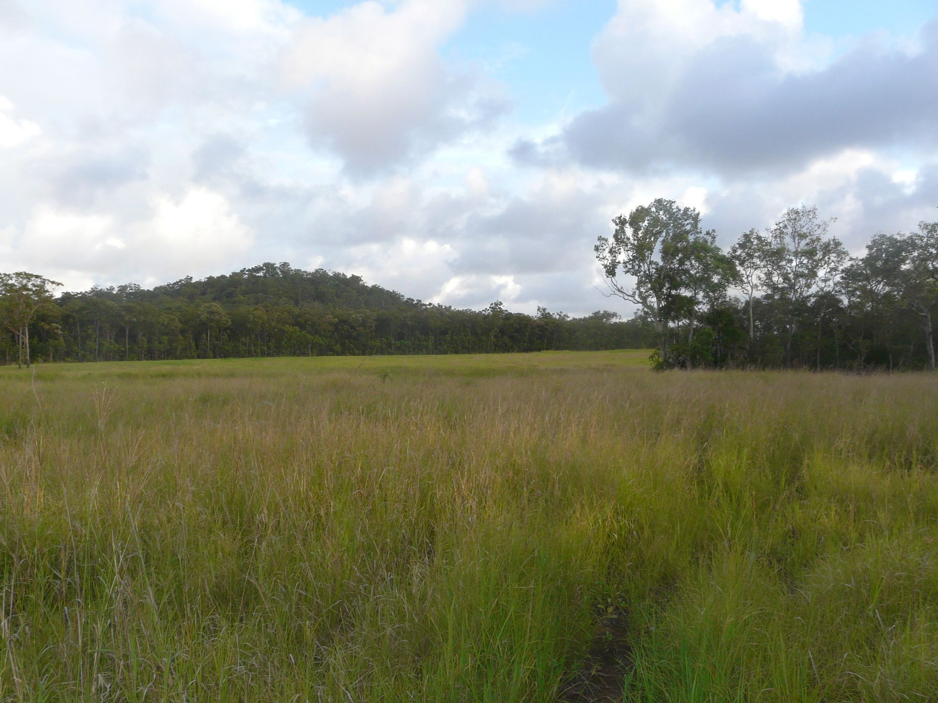 Pasture Preparation Rockhampton | Mike Barlow Earthmoving