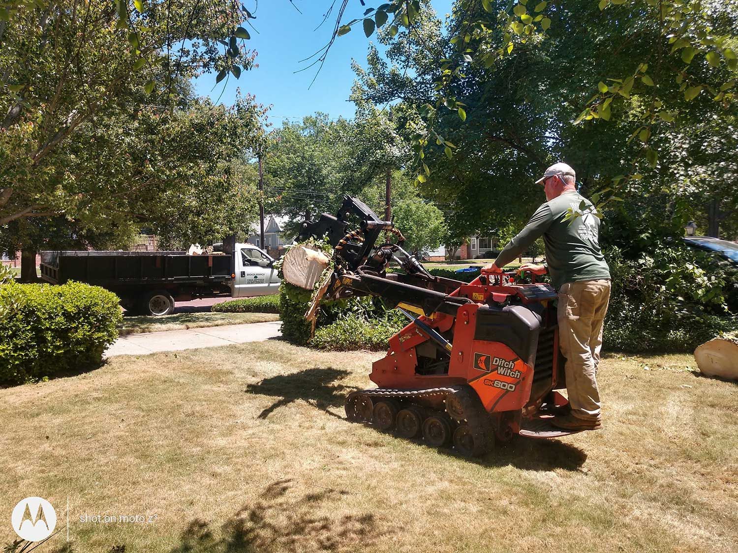 Tree Removal/Trimming – Smiths, AL – Broken Branch Tree LLC