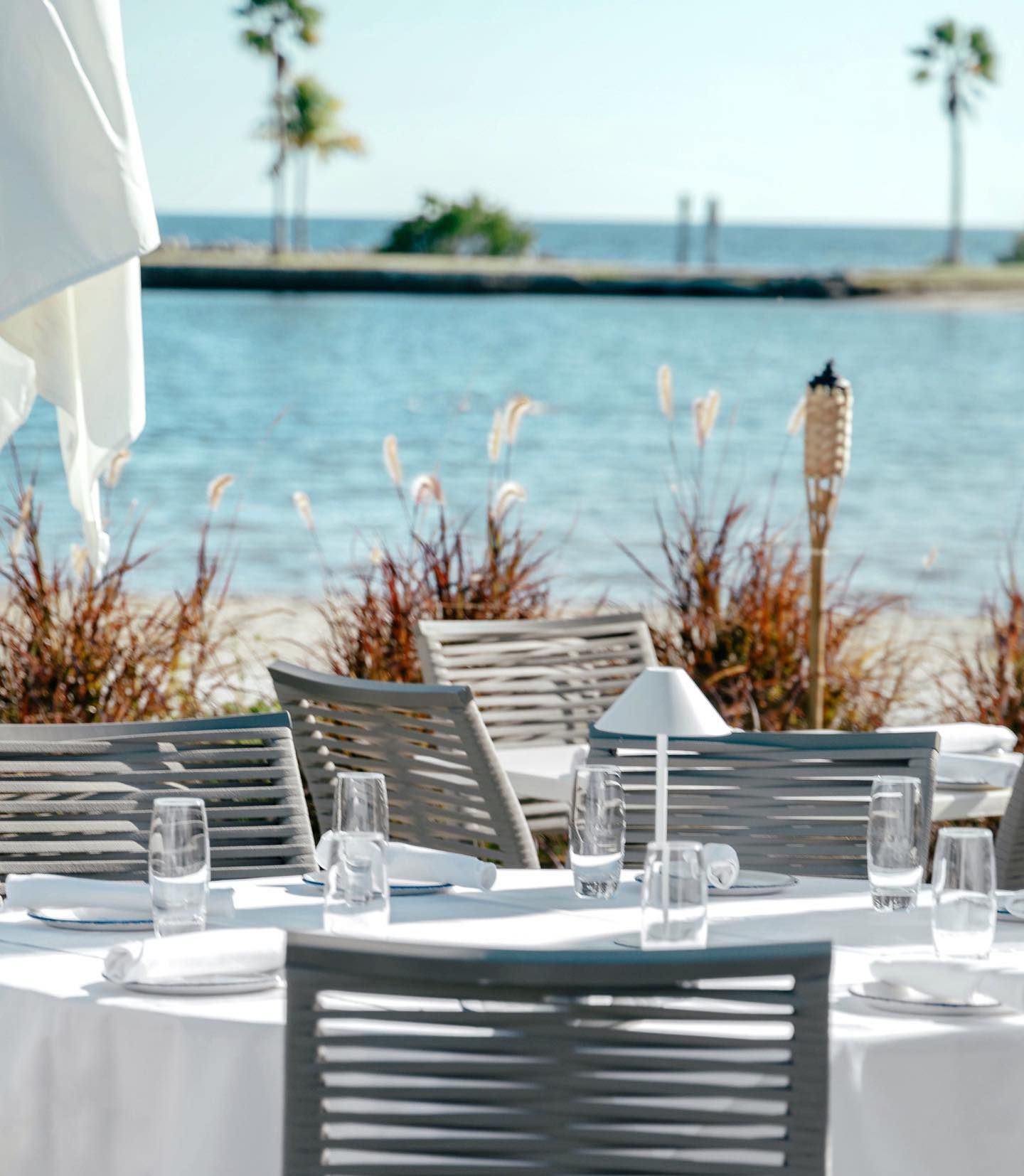 Seafood Restaurant | NOMA Beach | Coral Gables, FL