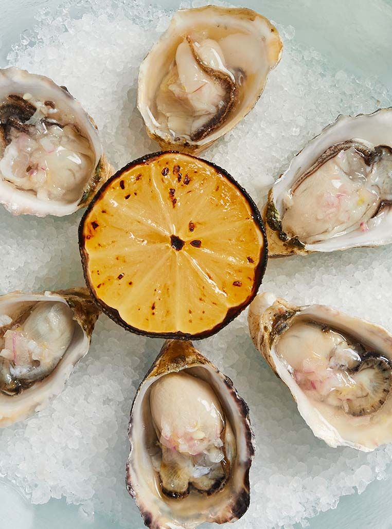 Our Story | NOMA Beach | Coral Gables, FL