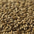 Explore Gladfields' Range of Fresh Specialty Malts