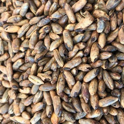 Explore Gladfields' Range of Fresh Specialty Malts