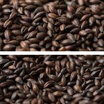 Explore Gladfields' Range of Fresh Specialty Malts