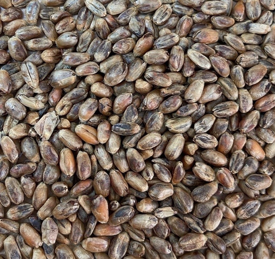 Explore Gladfields' Range of Fresh Specialty Malts