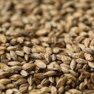 Explore Gladfields' Range of Fresh Sub-Base Malts
