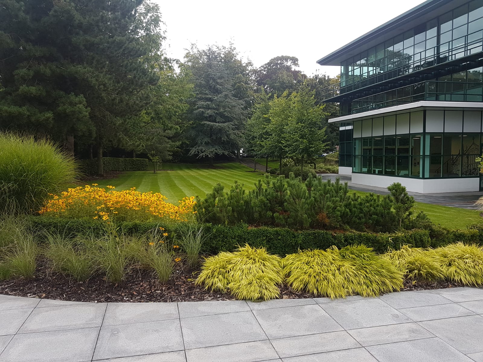 Home [www.peterashleyltd.com]