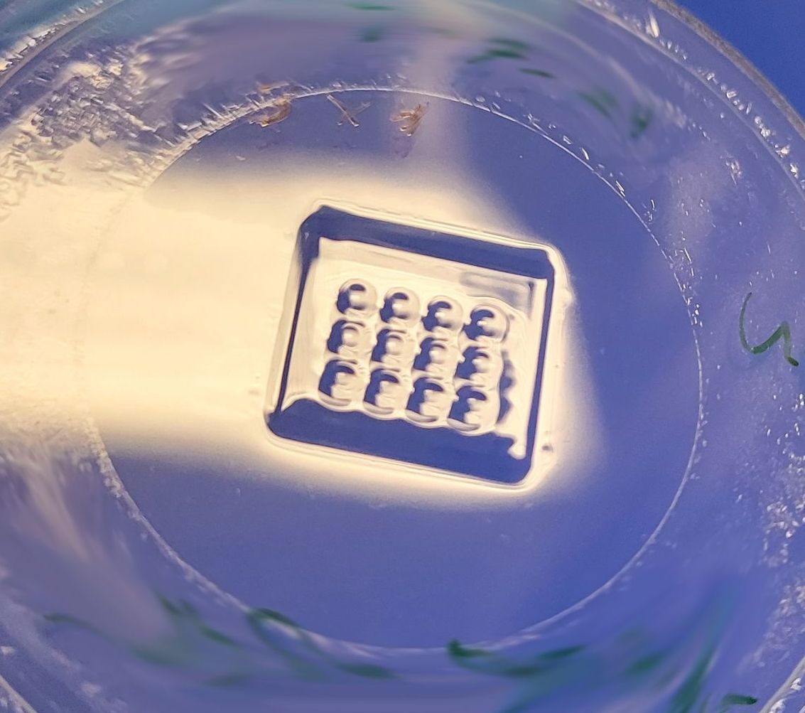 Products and Services