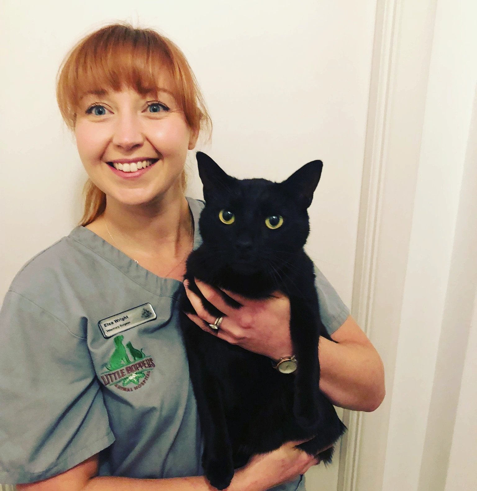 Veterinary surgeons | Little Hoppers Vets