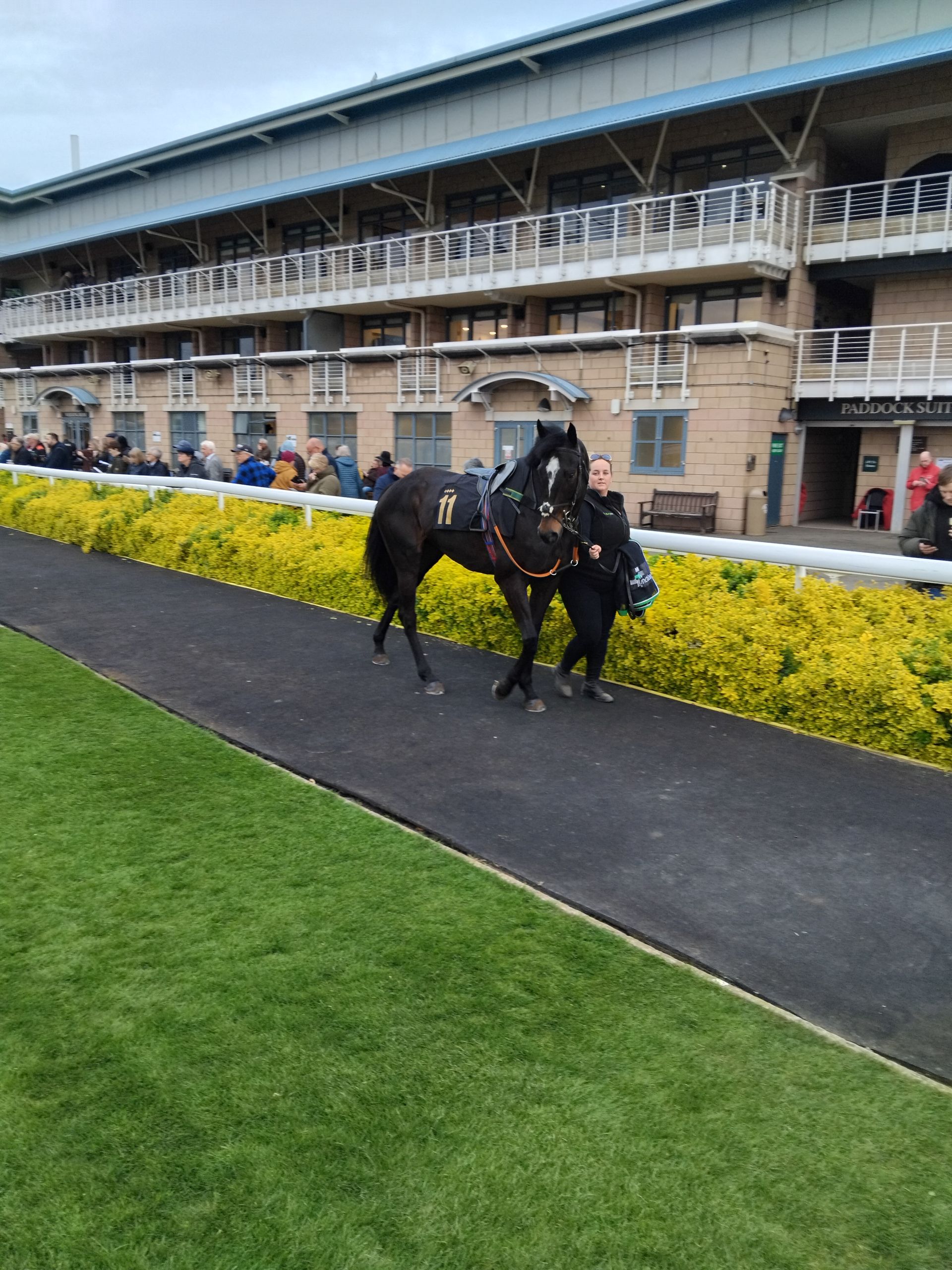 over the jumps racing