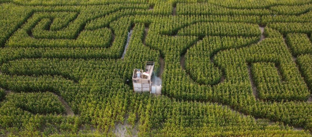 Home [pluktuinoostvoorne.nl]