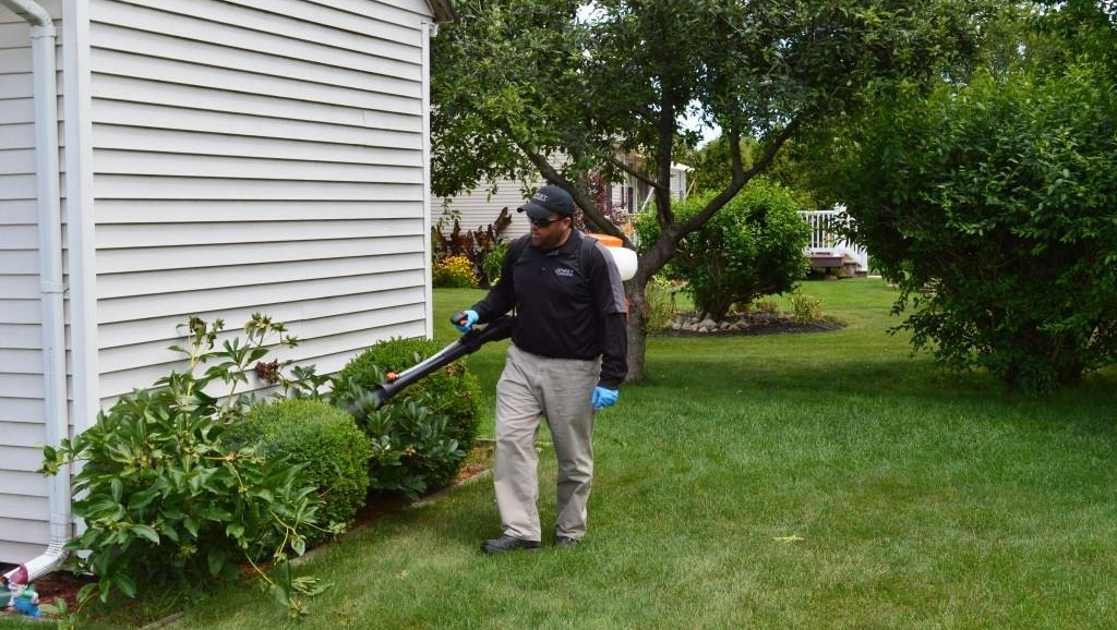 Newport, RI Pest Control | Pest Assassins | Exterminators
