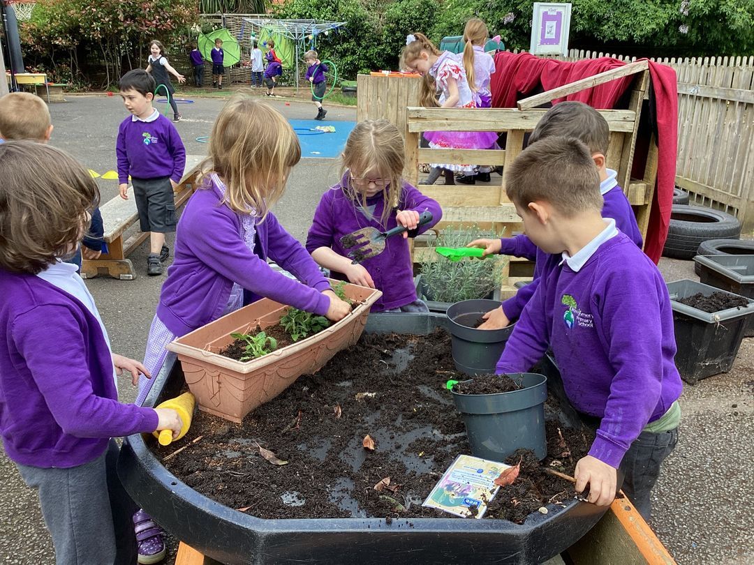 Montgomery Primary School | Exeter