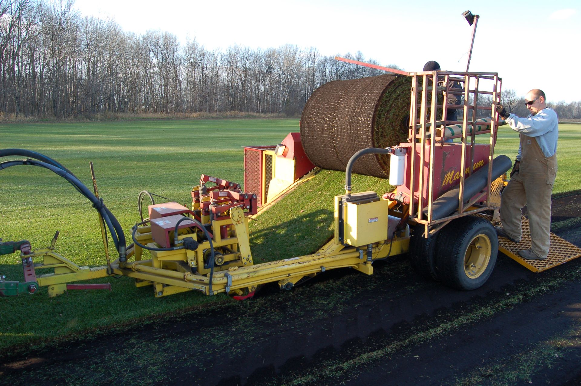 Local Sod for Sale | Big Roll Sod | GreenTurf Sod Farm