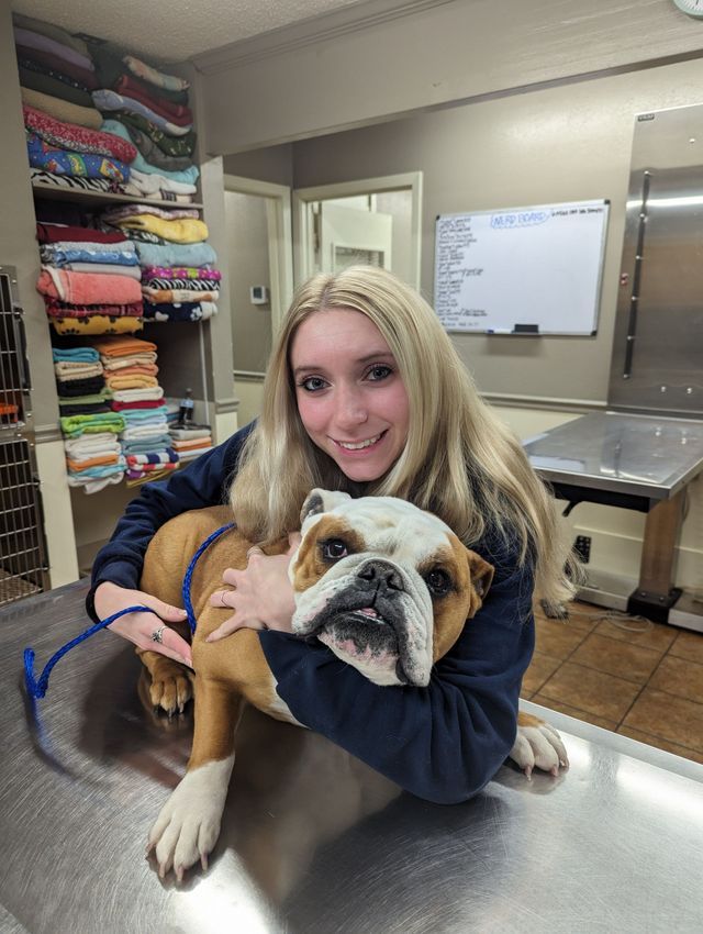Meet Our Expert Veterinary Team | Bossier City, LA
