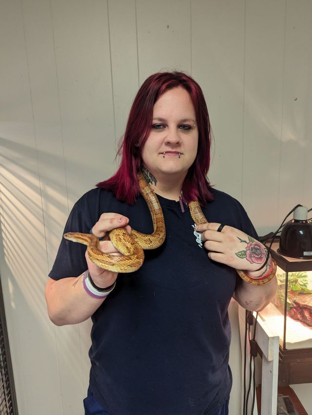 Meet Our Expert Veterinary Team | Bossier City, LA