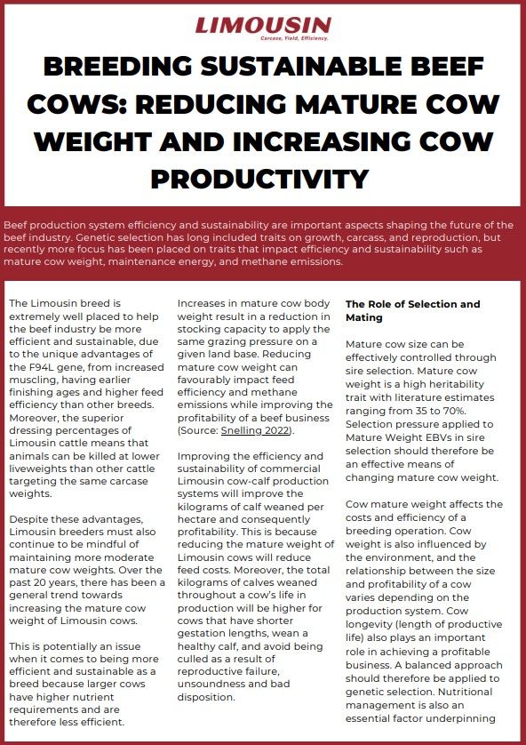 Module 3: Social Responsibility