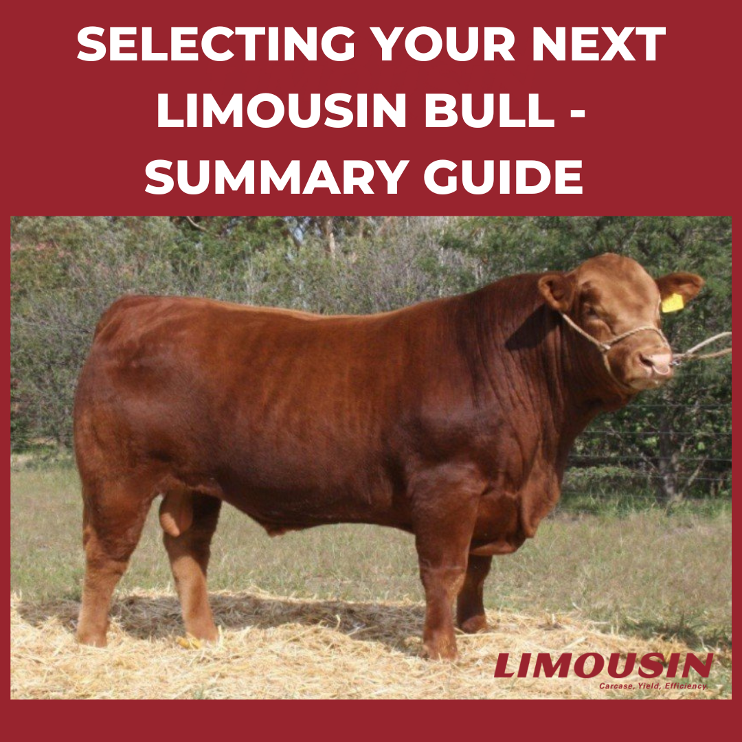 Module 2: Breeding Objectives & Bull Selection