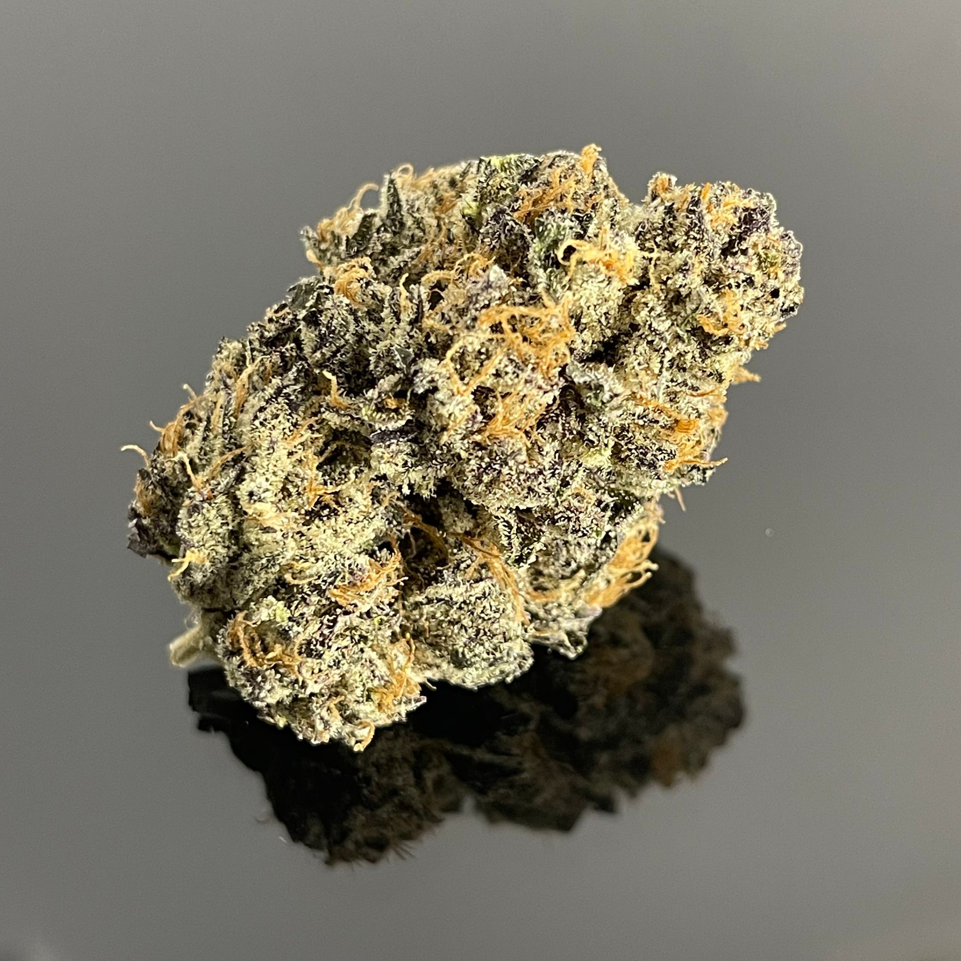Upper Peninsula Michigan Cannabis Dispensary | RIZE