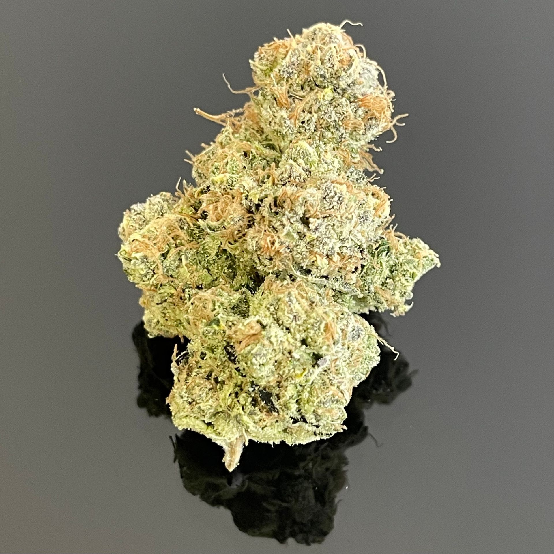 Upper Peninsula Michigan Cannabis Dispensary | RIZE