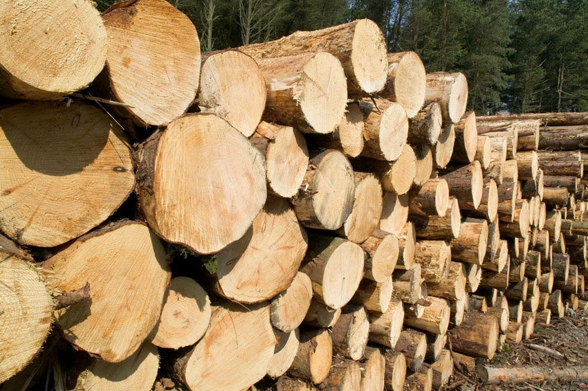F & S Edwards Central Timber | Timber Merchants | Malton