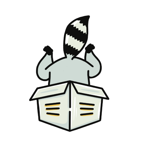 Das Raqoon Team | raqoon