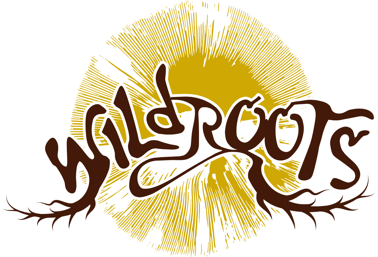 Guided Foraging & Workshops | Wild Roots | MN