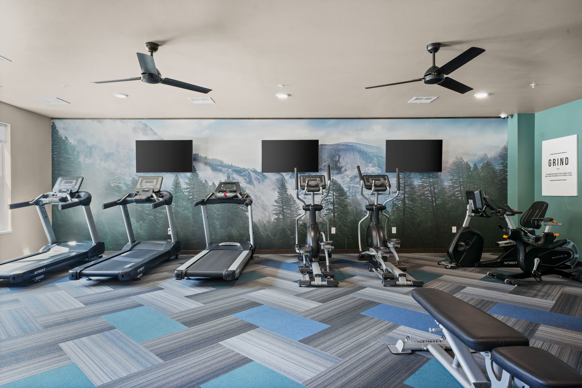 Photos | The ELEMENT Apartments