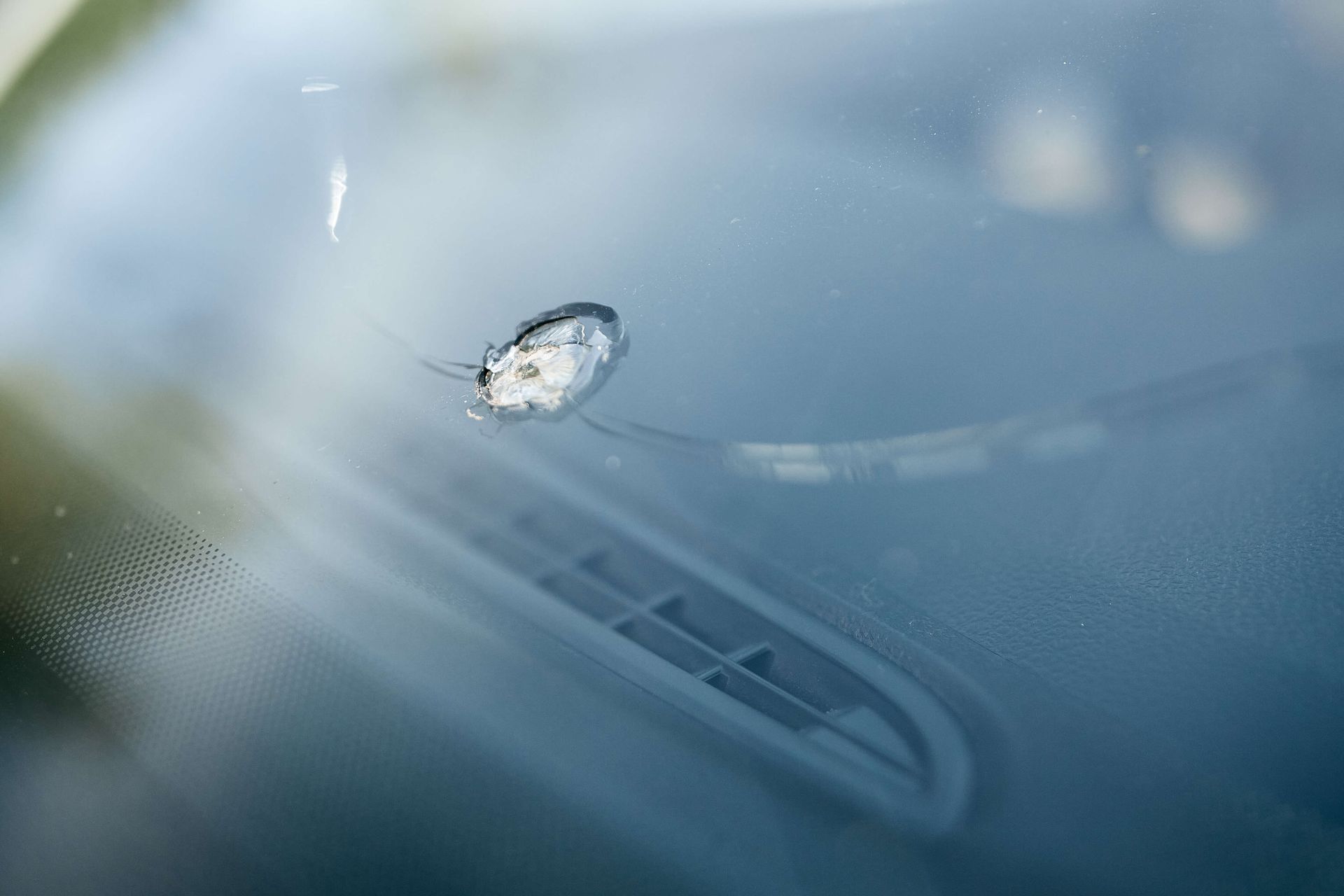 What to Do When You Need Immediate Windscreen Help