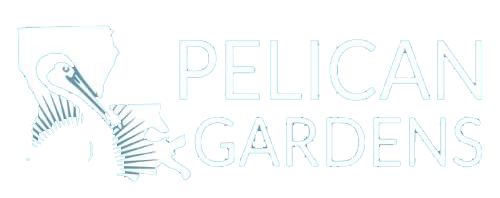 Availability - View our current availability here!