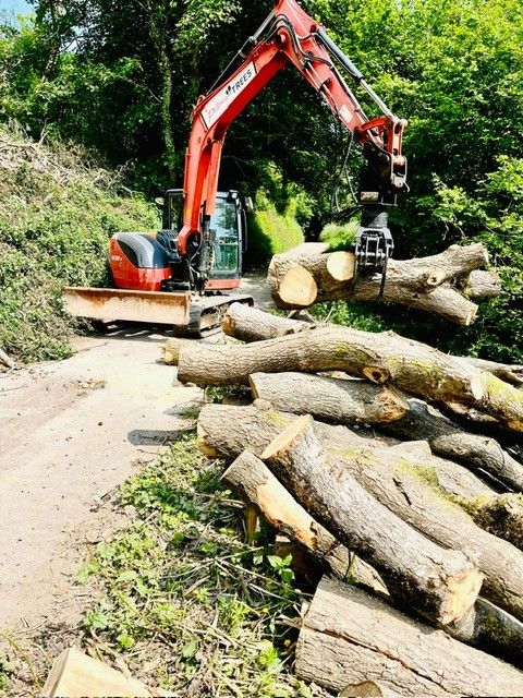 Gallery of Images - Video of Pittman Trees Ltd - Tree Felling Video – UK